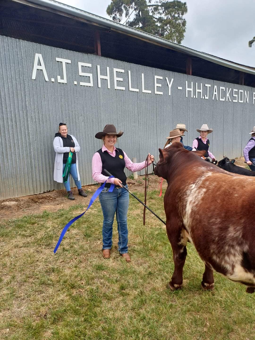 Cattle - Junior Judging Competition | Entry Form | 2025 Rutherglen ...