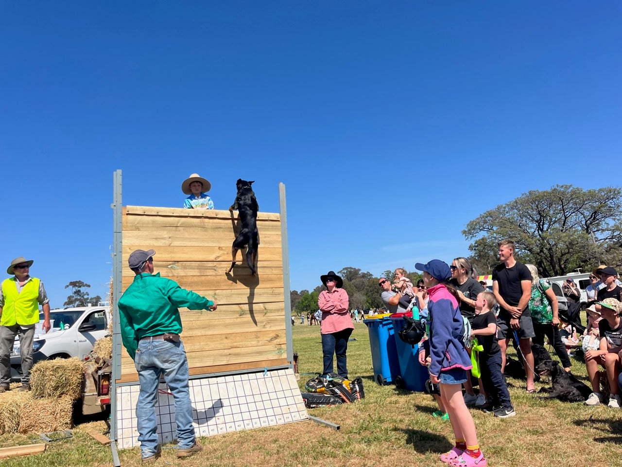 Special Events - Dog High Jumping Competition | Entry Form | 2025 ...